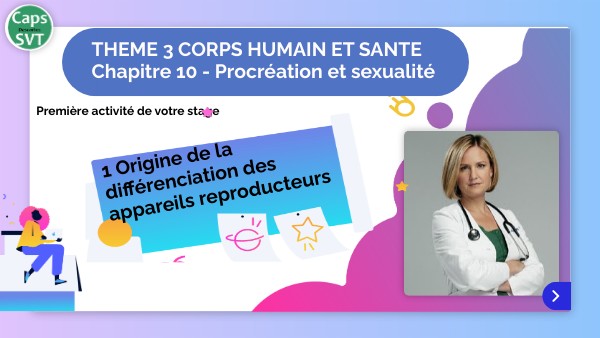 C1A1 Origine de la differenciation des Gonades - 2nde SVT | Genially