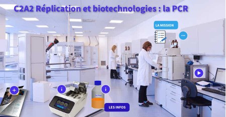 C2A2 PCR et autres applications de la réplication (1ereSPE) | Genially