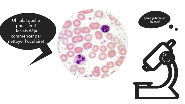 Microscope | Genially