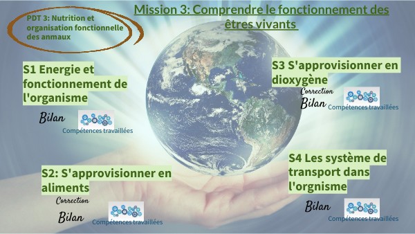 PDT 3: Comprendre le fonctionnement des êtres vivants | Genially