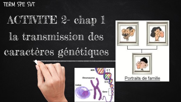 TERM SPE SVT TRANSMISSIONS CARACTERES | Genially