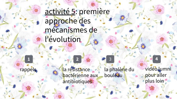 mécanismes évolution | Genially