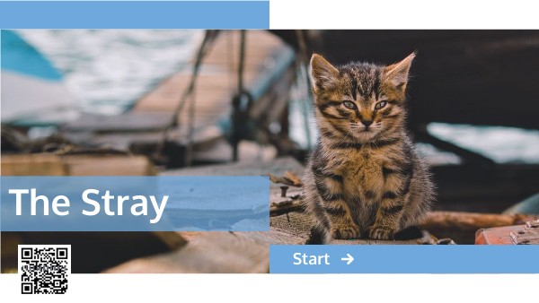 The Stray - Demonstration Copy