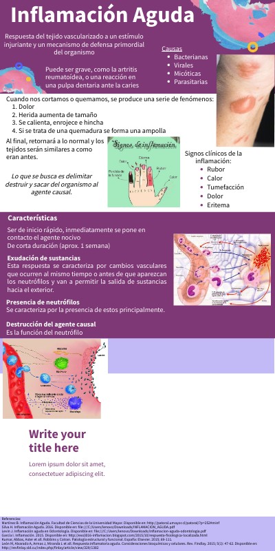 Infografías 7° | Genially