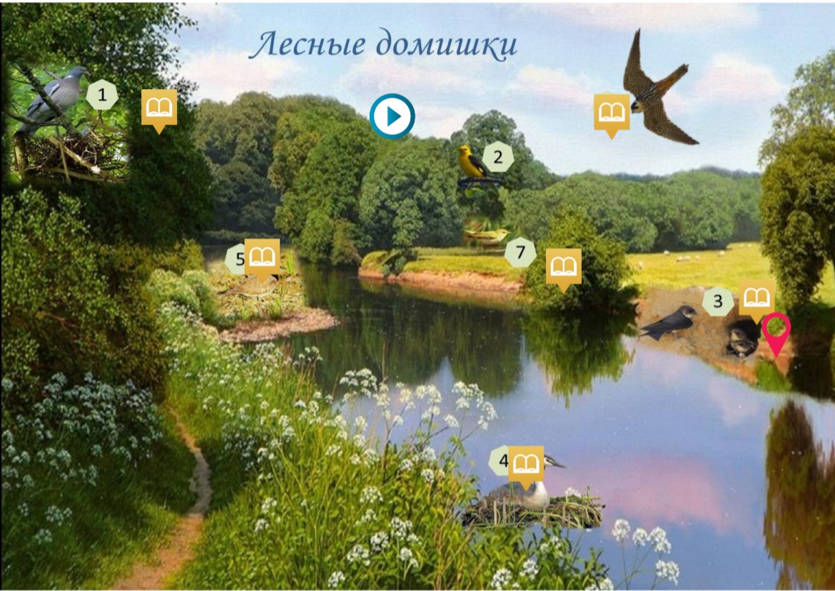 Interactive image | Genially