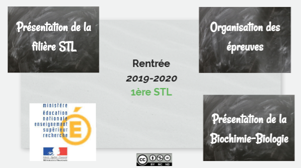 Présentation STL et BioBio | Genially