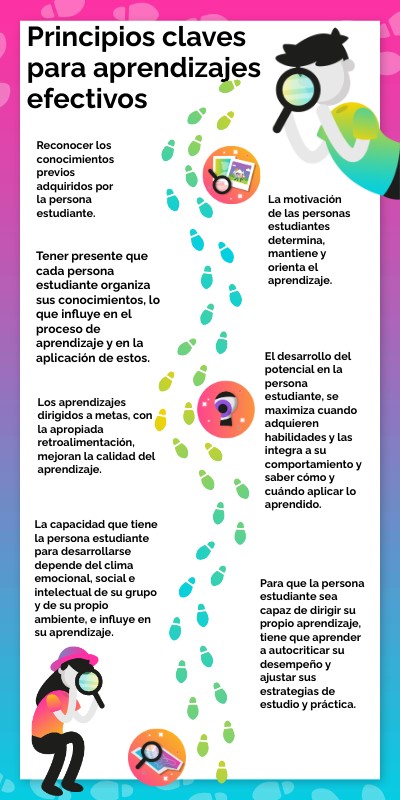 Principios claves para aprendizajes efectivos | Genially