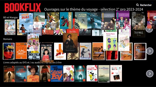 BOOKFLIX - 2 pro - voyage