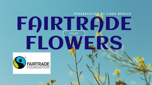 fairtrade flowers | Genially