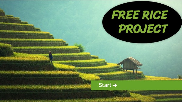 FREE RICE PROYECT