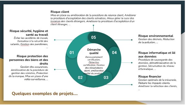 Des exemples de projet de gestion des risque ou de | Genially