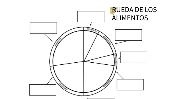 RUEDA DE LOS ALIMENTOS | Genially