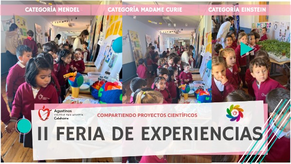 Feria Virtual Steam Week Sustentable | Genially