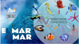 EL MAR/LA MAR | Genially