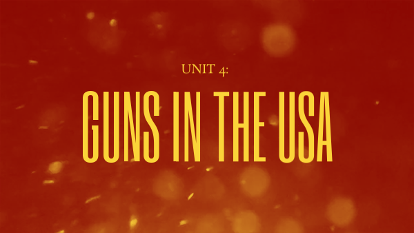 Guns in the USA | Genially