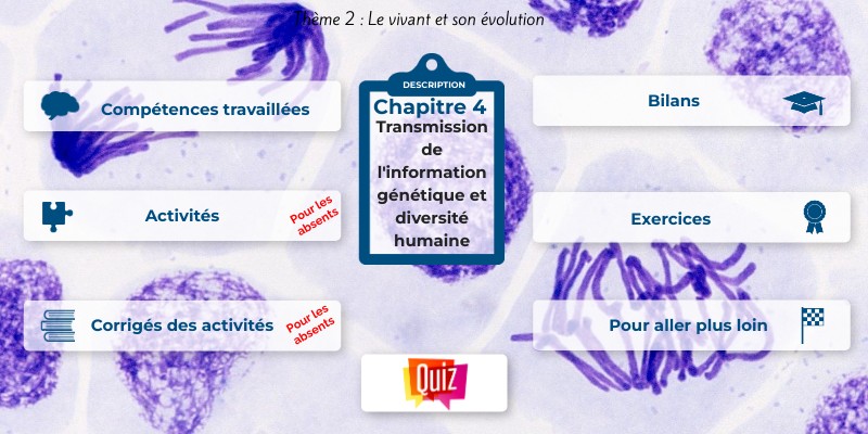 Chap 4 : transmission de l'information génétique et diversité humaine