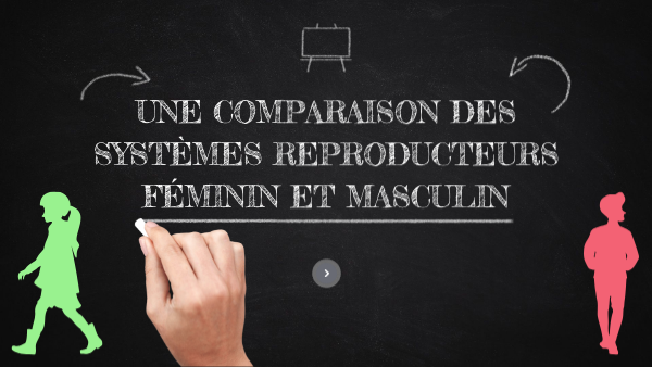 Système reproducteur - 4ème | Genially