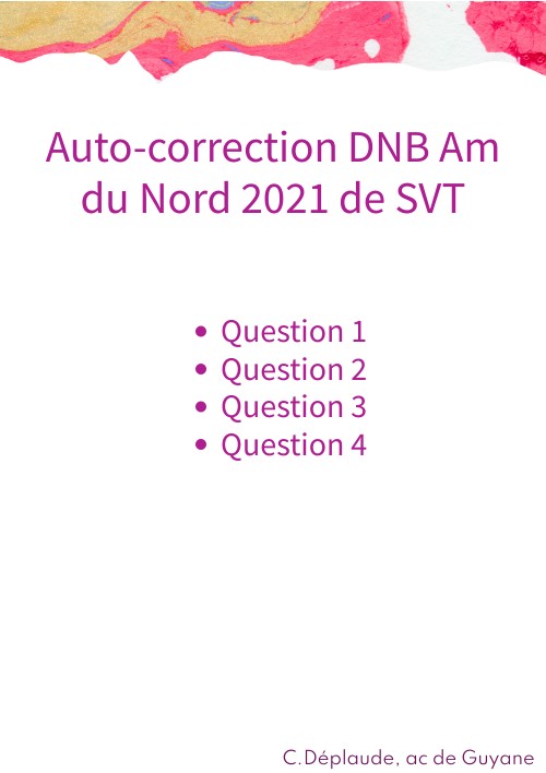Auto-correction DNB Am du Nord 2021 SVT | Genially
