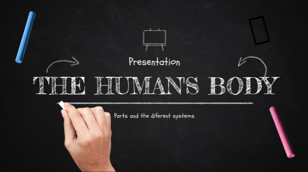 the humans body | Genially