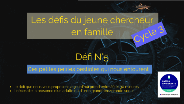 cycle 3-défi 5 | Genially