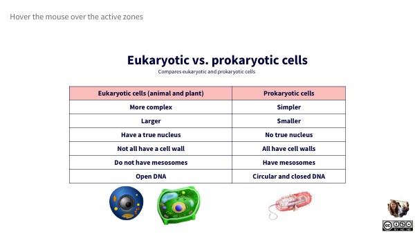 Table 3. Table comparing eukaryotic cells (animal and plant) and proka