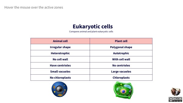 Table 2. Table comparing animal and plant eukaryotic cells.