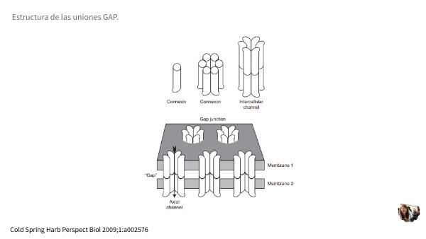 18. Uniones GAP | Genially