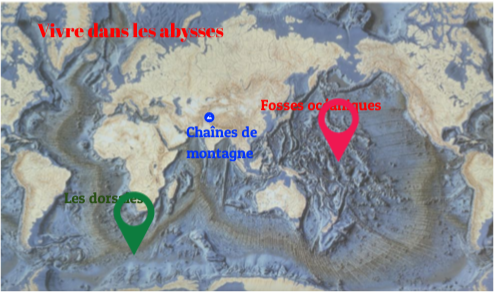 Principaux reliefs à la surface de la Terre | Genially