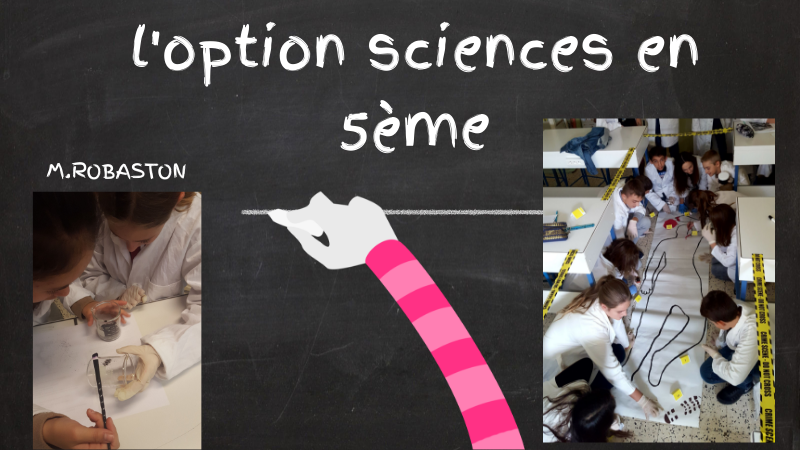 Option sciences | Genially