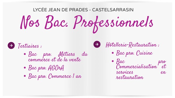 FORMATIONS_BAC PRO | Genially