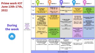 Prime work #37 | Genially