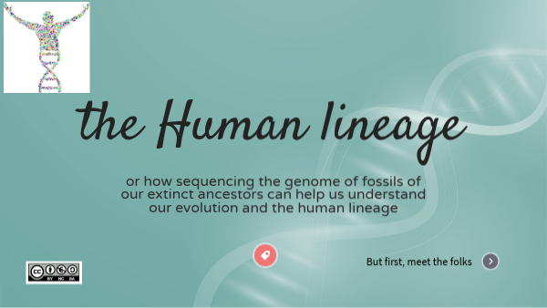 DNL-SVT-Human evolution | Genially