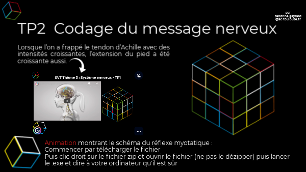 TP2 Transmission copie | Genially