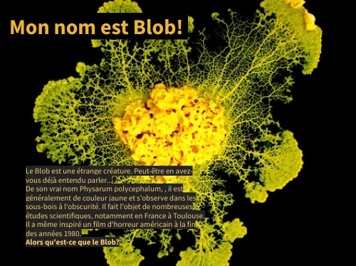 mon nom est Blob! | Genially