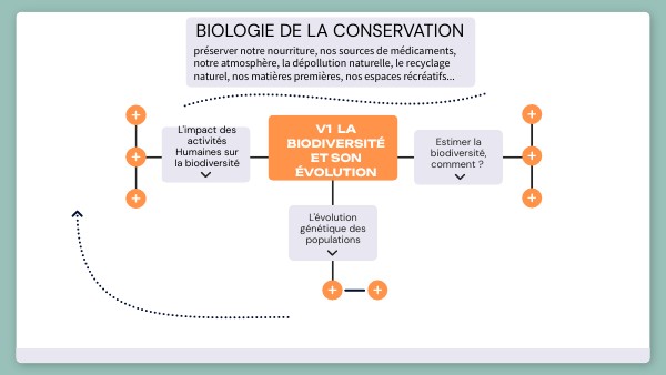 V1 La Biodiversité et son évolution | Genially
