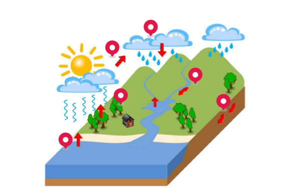 Water cycle | Genially