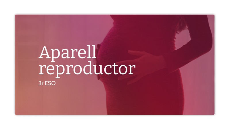 Aparellreproductor_3r | Genially