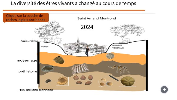 6eme -chapitre 5 - seance3