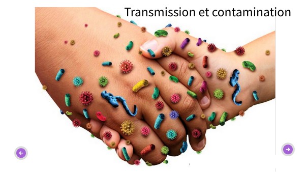 3eme -Chapitre 6- Séance 3 - voies de contamination | Genially