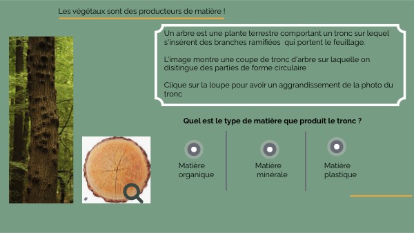 6eme Chapitre 5 - Seance 1 | Genially