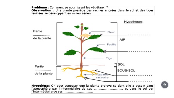 5eme- chapitre 5 - seance 3 - surfaces echanges | Genially