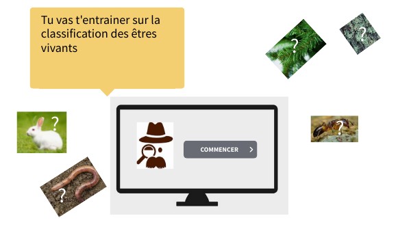 6eme- chapitre 1 - exercices classification | Genially