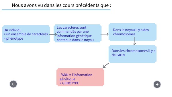 (ipad) 3eme - chapitre 1 - séance 5