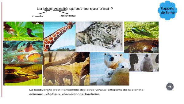 3eme - chapitre 3 - seance 1