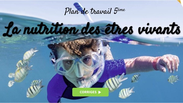 Nutrition des êtres vivants PDT 5ème | Genially
