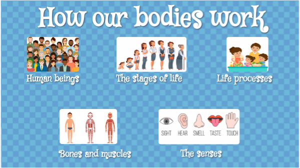 hOW OUR BODIES WORK | Genially
