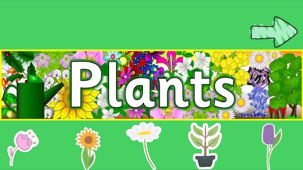 plants | Genially