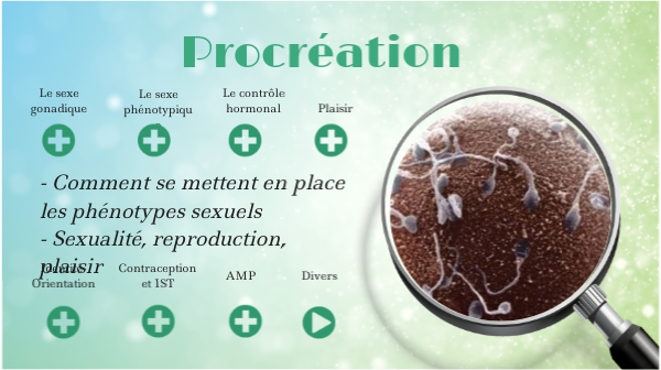 Procréation | Genially