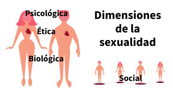 dimensiones sexualidad | Genially