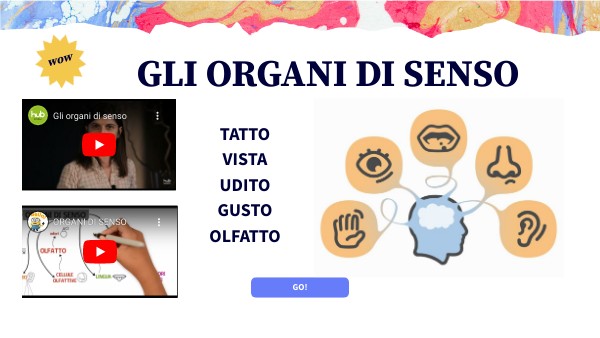 GLI ORGANI DI SENSO | Genially